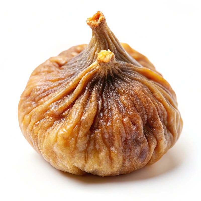 Single Dried Fig Showing Stock Illustrations – 4 Single Dried Fig ...