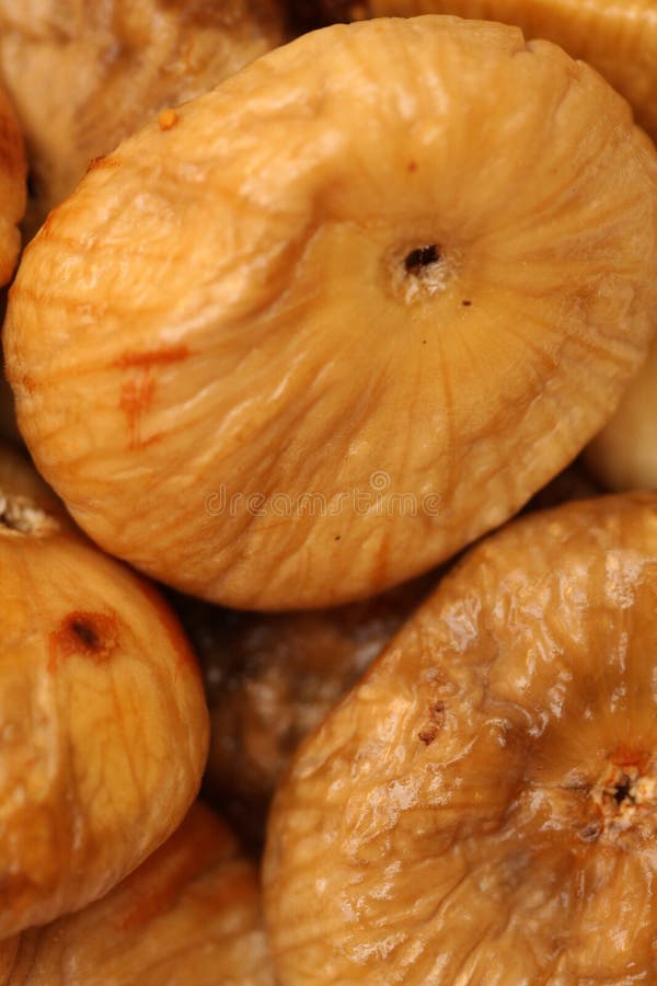 Dried figs stock image. Image of small, closeup, seasonal - 17222663