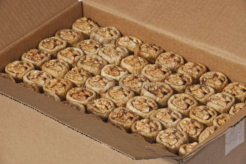 Dried figs stock photo. Image of three, white, brown - 42066046