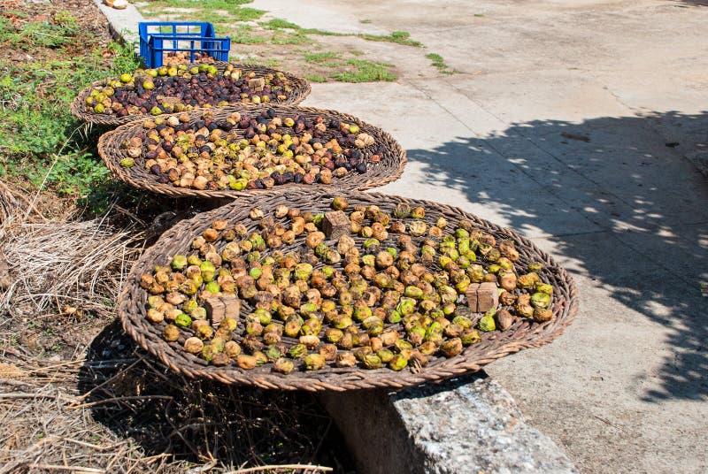 Dried figs stock image. Image of baskets, figs, traditional - 51615285
