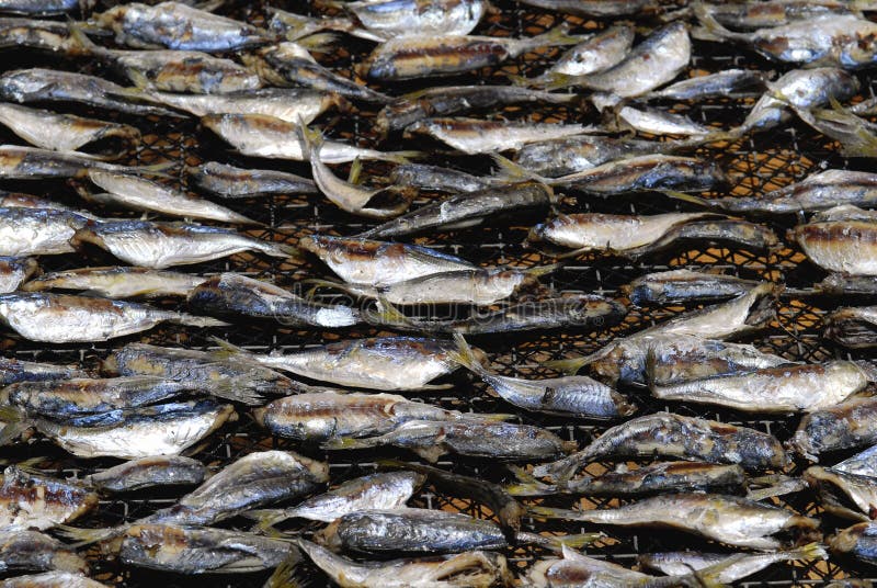 Dried fish stock image. Image of dried, preserved, fish - 10634609