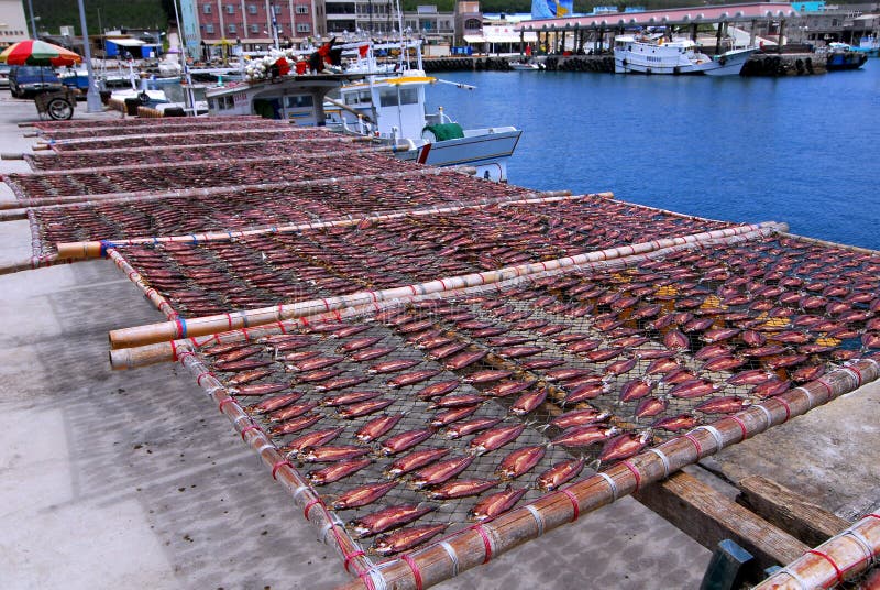 Dried fish stock photo. Image of delicacy, heap, port - 15261718
