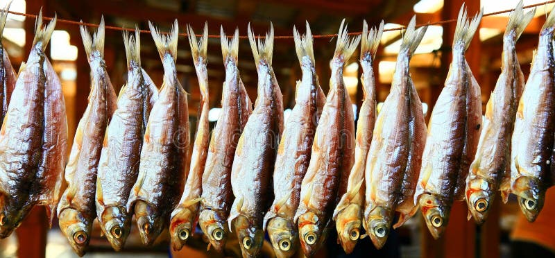 Dried fish stock photo. Image of outdoors, body, indigenous - 15793698