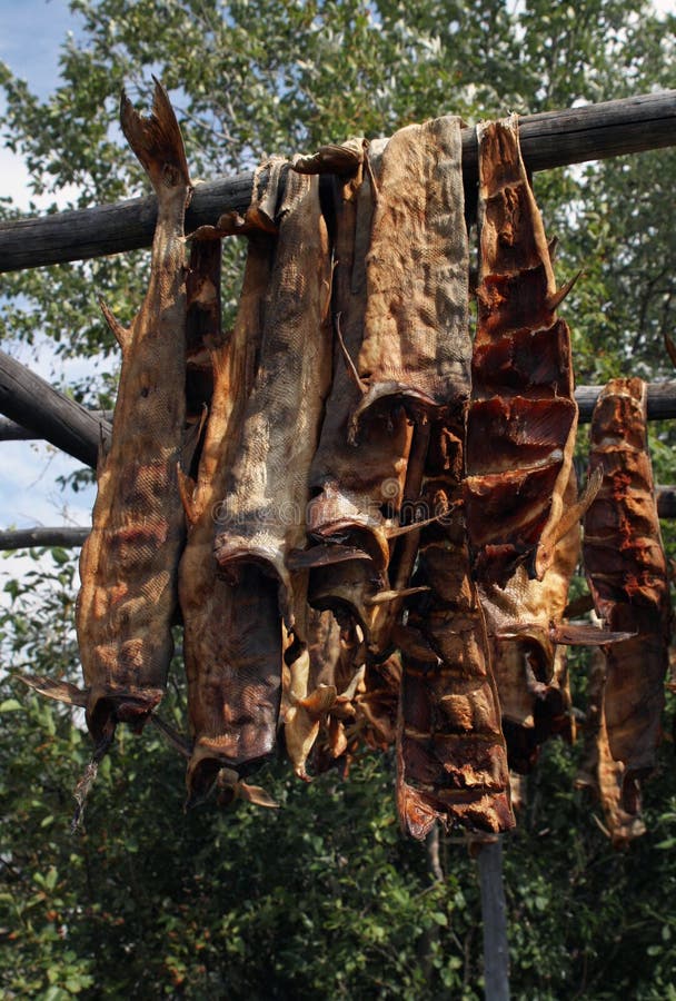 Dried fish stock photo. Image of regional, prepared, preserved - 1743256