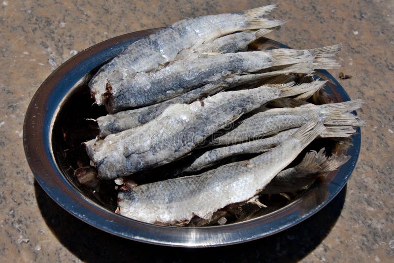 Dried fish stock image. Image of seafood, bokkoms, food - 17675335