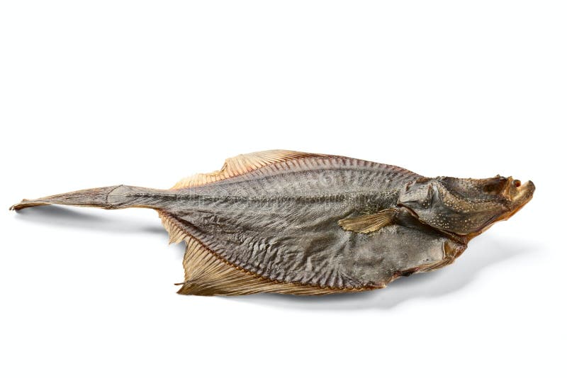 Dried fish stock photo. Image of seafood, meal, isolated - 28125210