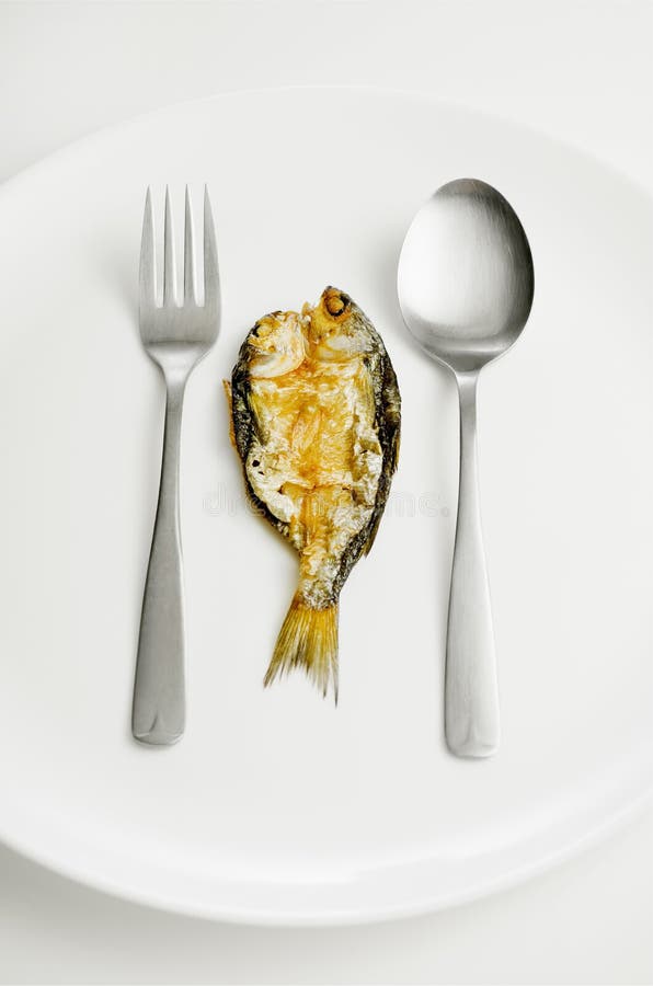 Dried Fish stock photo. Image of dried, fish, white, seafood - 22153294