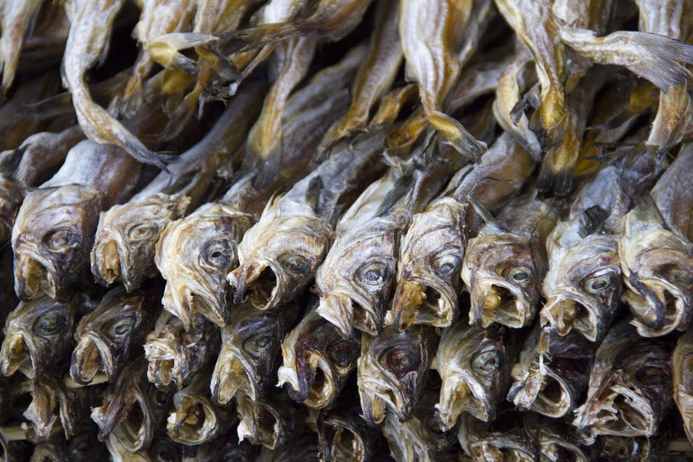 Dried Fish stock photo. Image of fishing, kangwon, food - 22245444