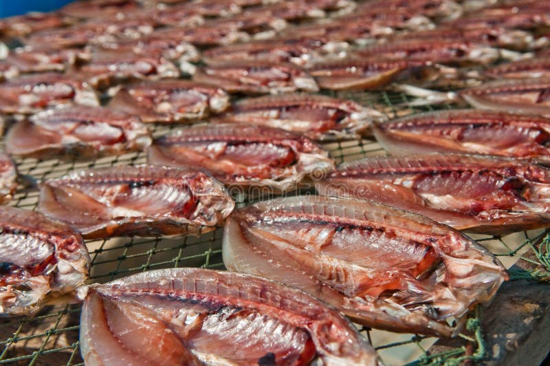 Dried fish. stock photo. Image of preserved, seafood - 23866950