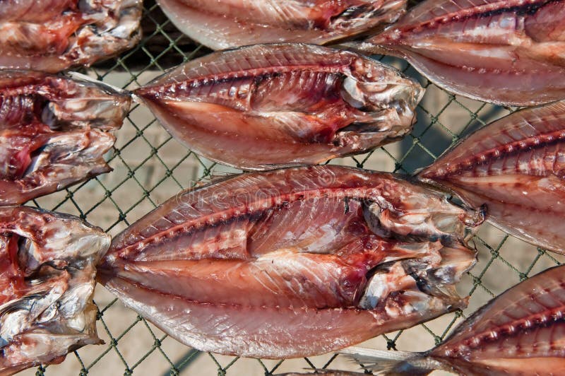 Dried fish. stock image. Image of healthy, protein, eating - 23866963