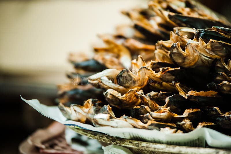 Dried Fish stock photo. Image of fish, dried, animal - 27312008