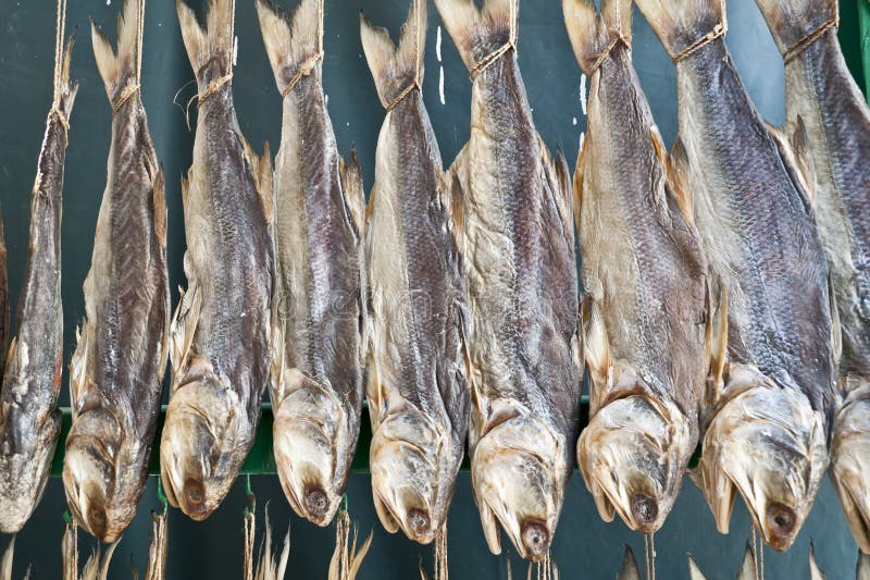 Dried fish stock photo. Image of animal, fish, preserve - 28656216