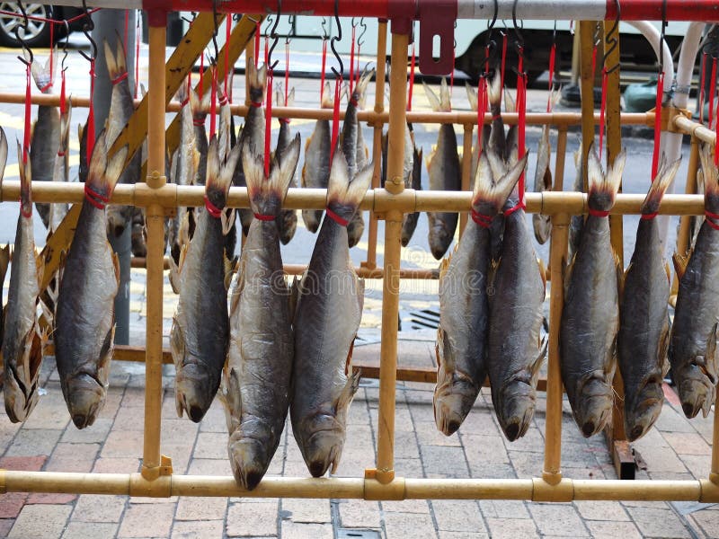 Dried fish stock photo. Image of chinese, seafood, eating - 29319546