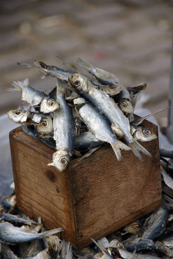 Dried fish stock photo. Image of seafood, gourmet, turkey - 14417800