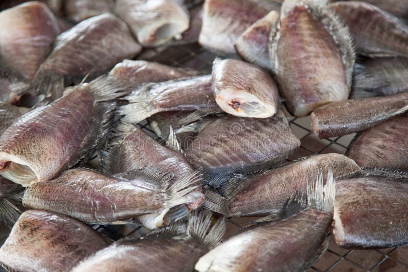 Dried Fish stock image. Image of asian, asia, dead, gourmet - 37988053