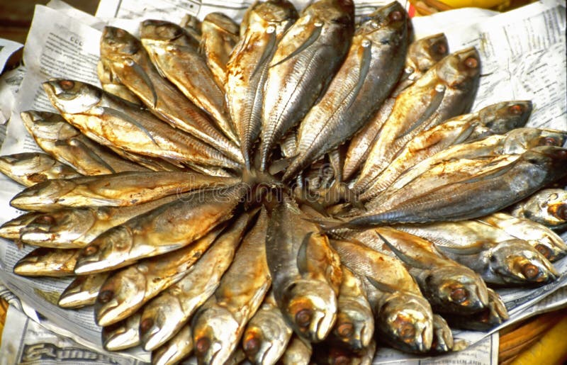 Dried fish stock photo. Image of tourism, fish, asia, kitchen - 5721984