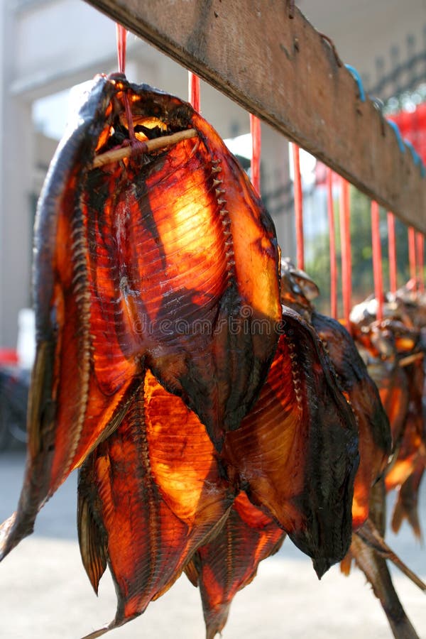 Manta ray Dried stock image. Image of boat, egypt, explore - 14803867