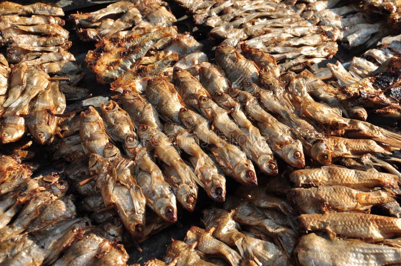 Dried fish stock image. Image of eating, gourmet, light - 42456535