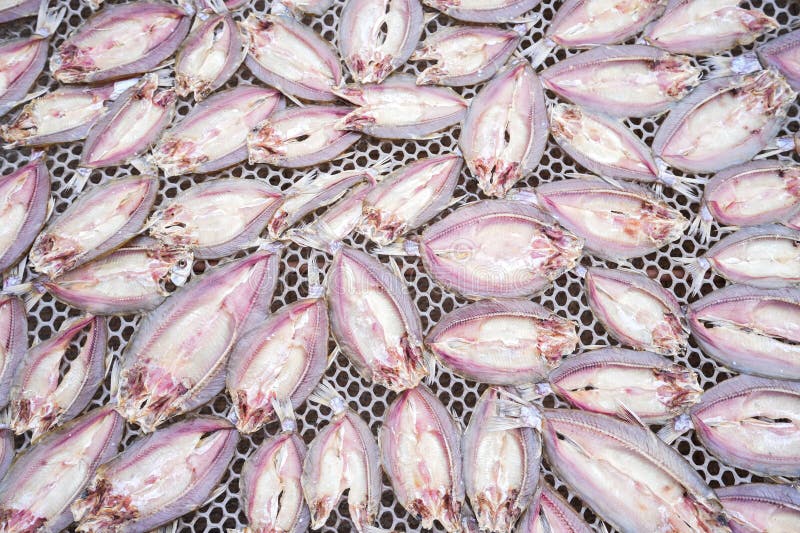 Dried Fish on White Plate, Tilapia Fish for Cooking Food on Wooden ...