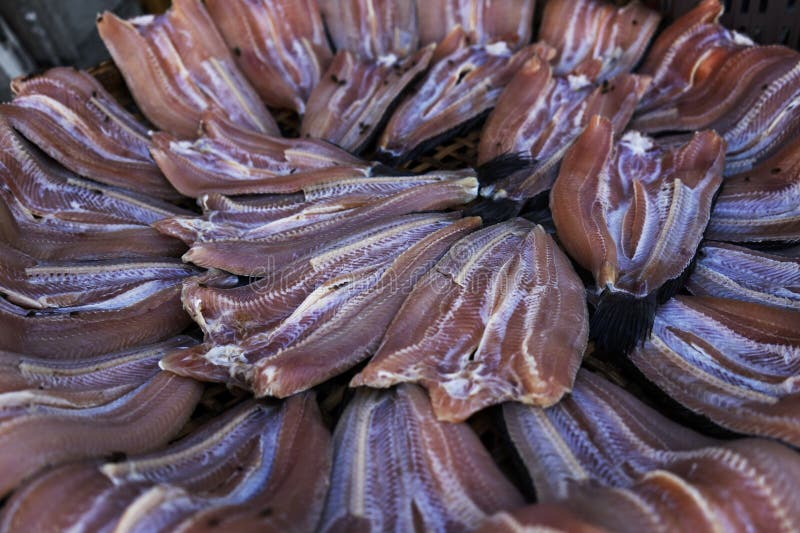 Dried Fish on the Bamboo Grid in the Sunny Day Stock Photo - Image of ...