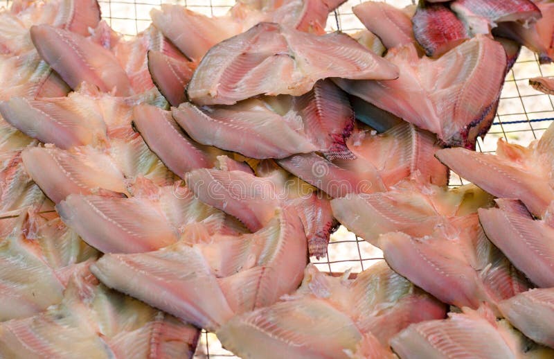 Dried Fish on the Bamboo Net in Market. Stock Image - Image of death ...