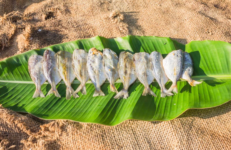 Dried Fish on Banana Leaves Stock Photo - Image of nature, cuisine ...