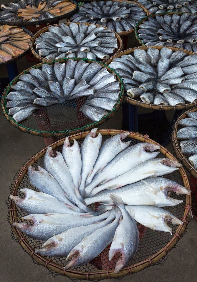 Dried fish in basket. stock image. Image of ripe, pattern - 296487579