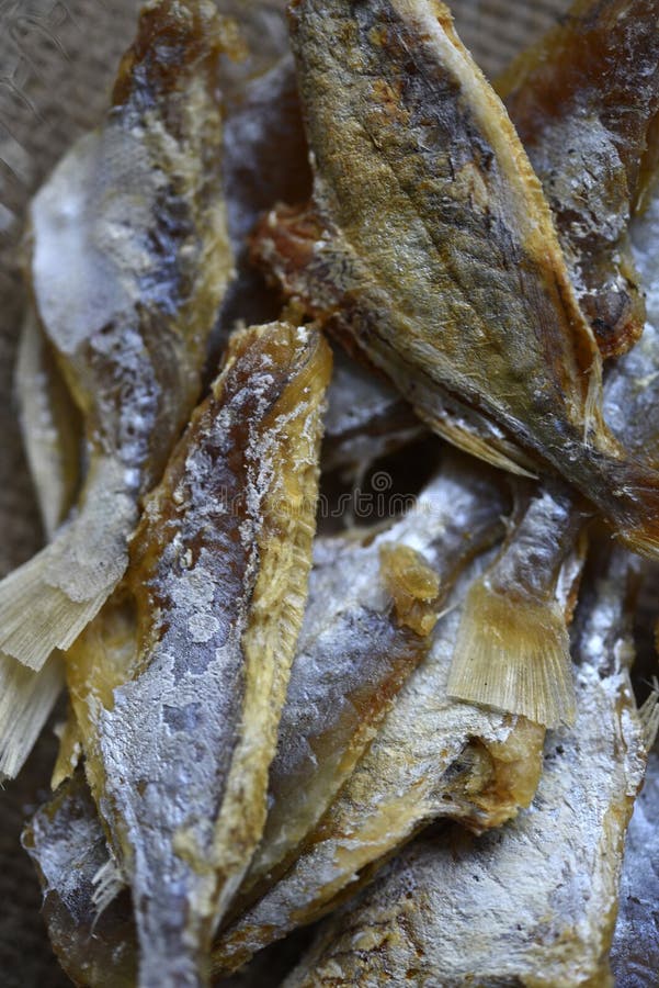 Dried Fish for Beer. Slices of Chopped Fish As an Appetizer Stock Image ...