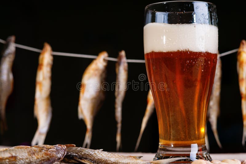 Dried fish and beer stock photo. Image of activities - 75137906