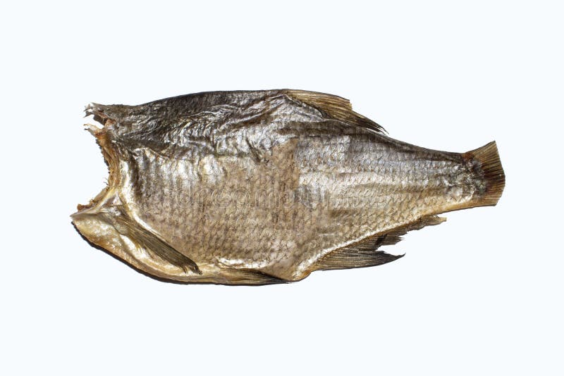 Dried Fish Head Side View.Dried Fish Head.Fish Head on a White ...