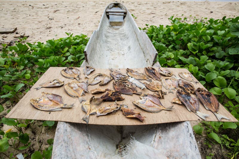 Dried fish on board stock image. Image of illustrative - 113047351