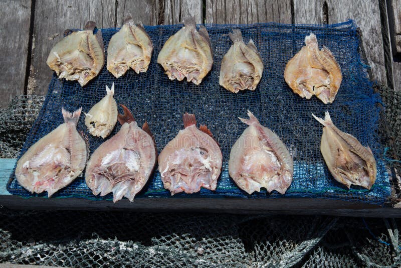 Dried fish on board stock image. Image of life, maluku - 113047373