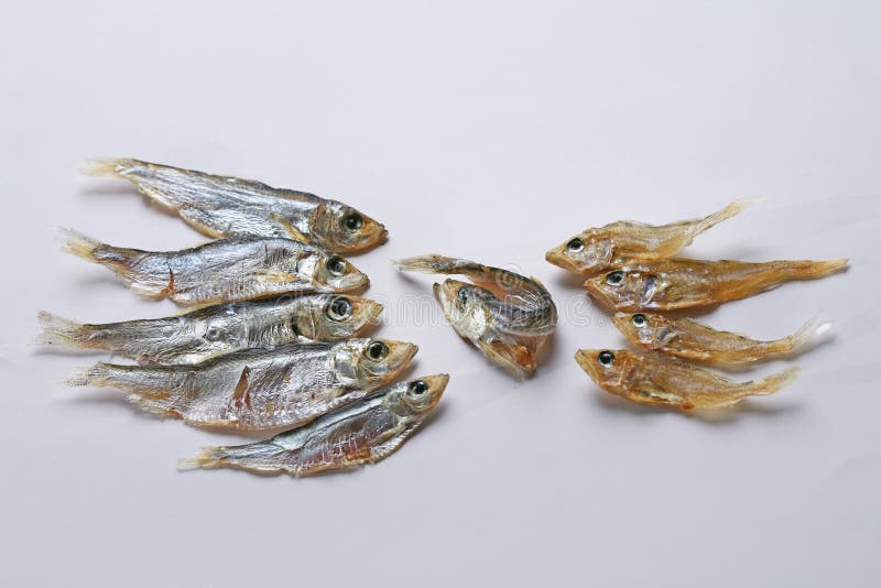 Dried fish stock photo. Image of delicacy, isolated, cooked - 69301574