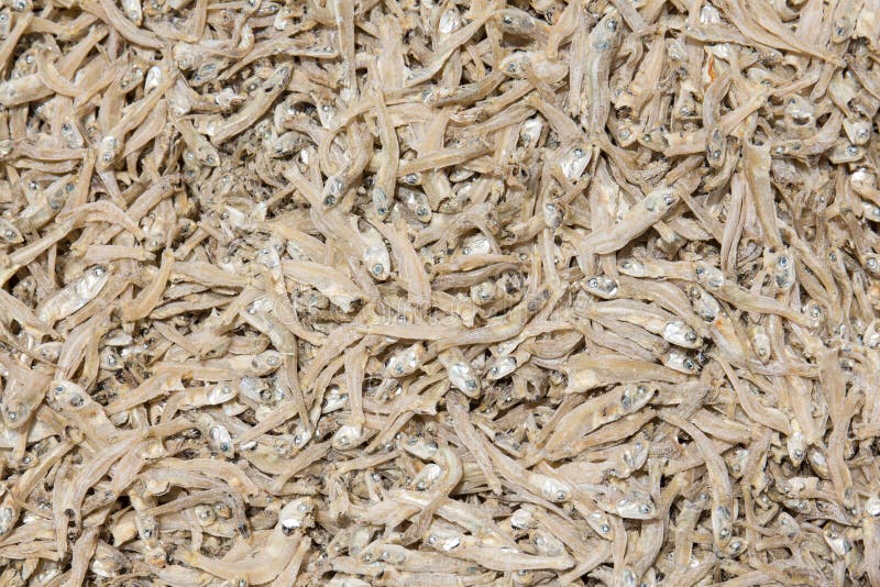 Dried Fish stock image. Image of indian, korean, fish - 43744047