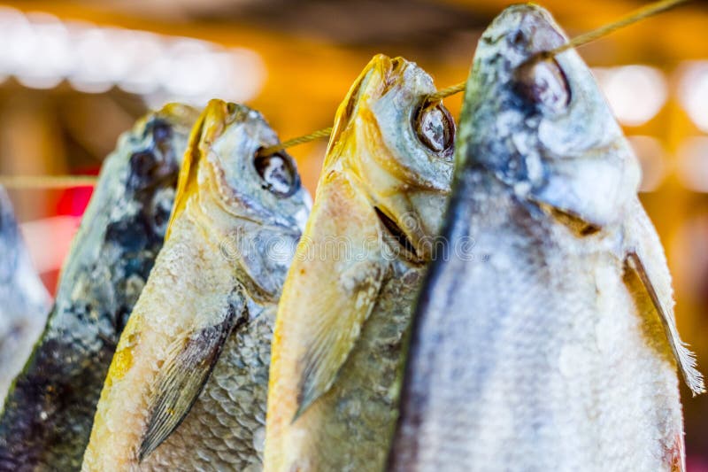 Dried fish stock image. Image of natural, fish, fresh - 92675583
