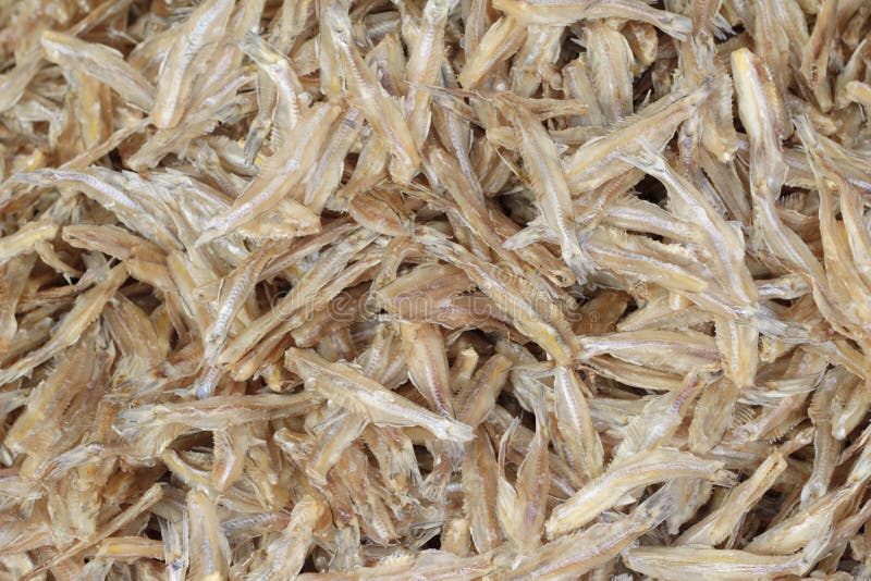 Dried Fish for Cooking in the Market. Stock Photo - Image of marine ...