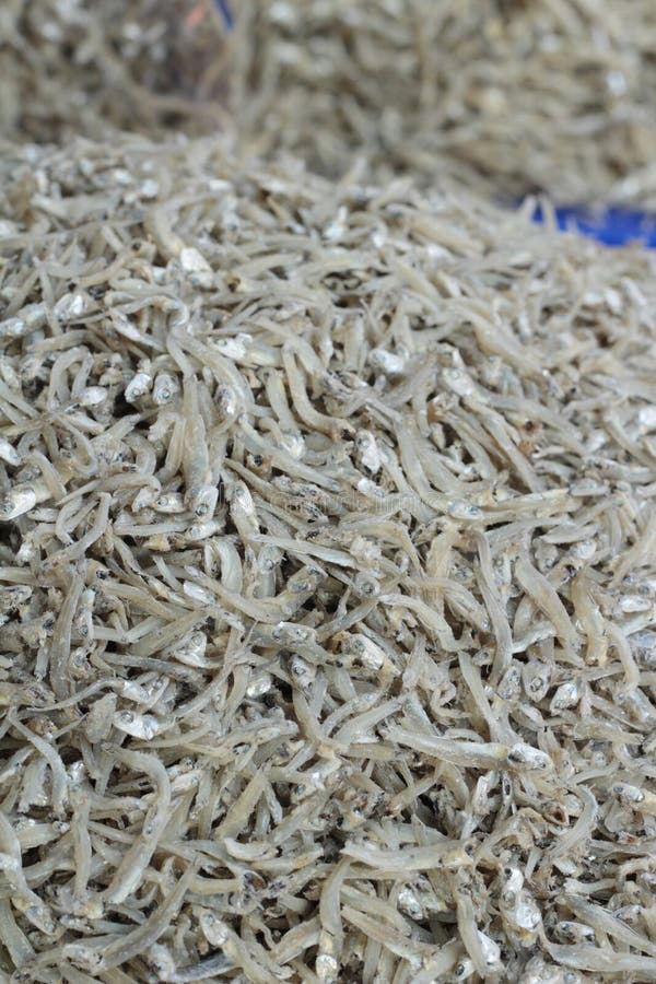 Dried Fish for Cooking in the Market. Stock Photo - Image of salt, food ...