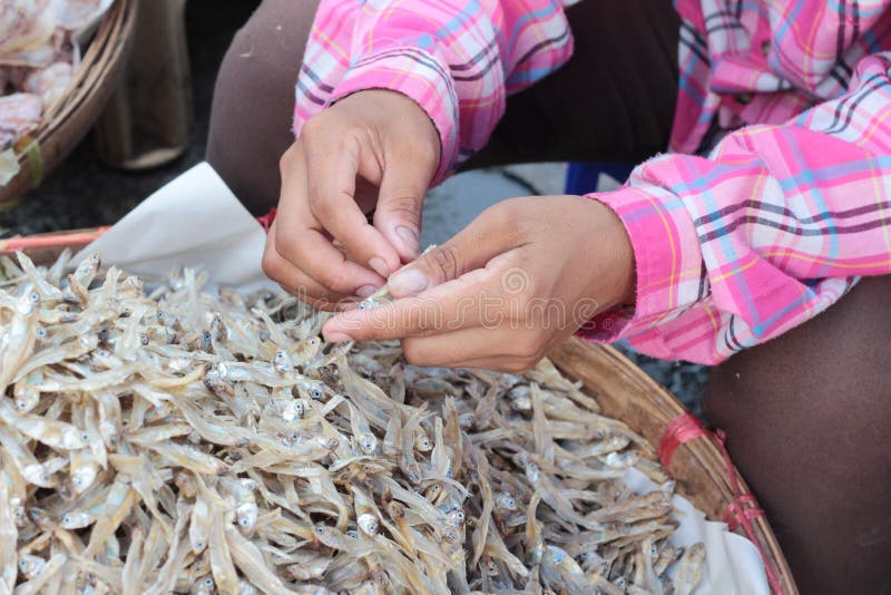 Dried Fish for Cooking in the Market. Stock Photo - Image of food, salt ...