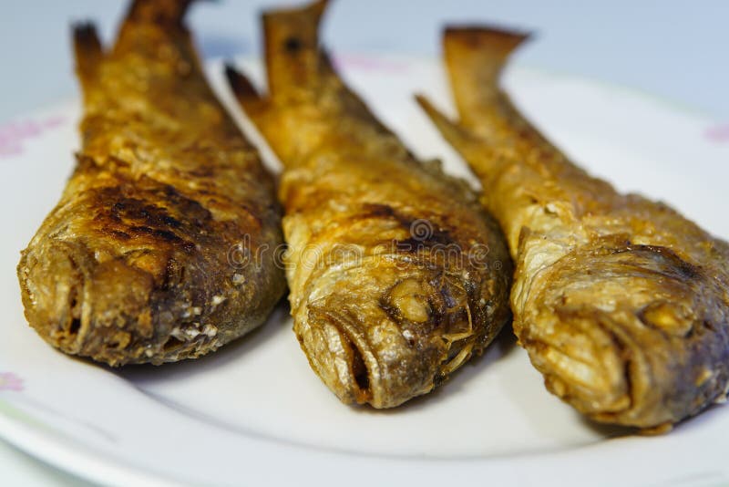Dried fish stock image. Image of fried, delicious, korea - 62048691
