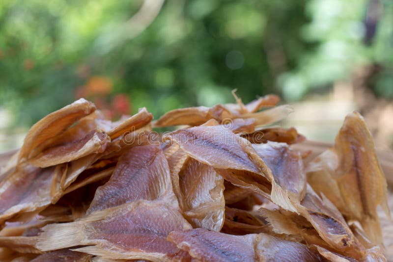 Dried fish stock image. Image of marine, fish, gourmet - 132216399