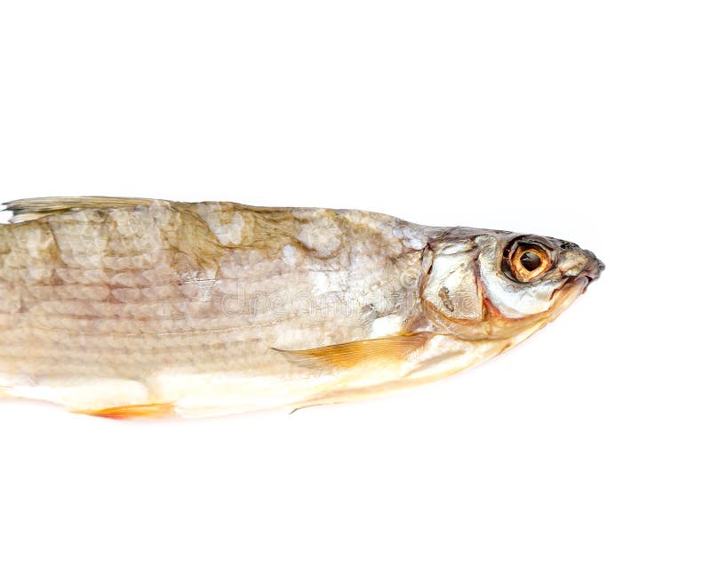 Dried Fish. stock image. Image of seafood, pieces, snack - 110403885