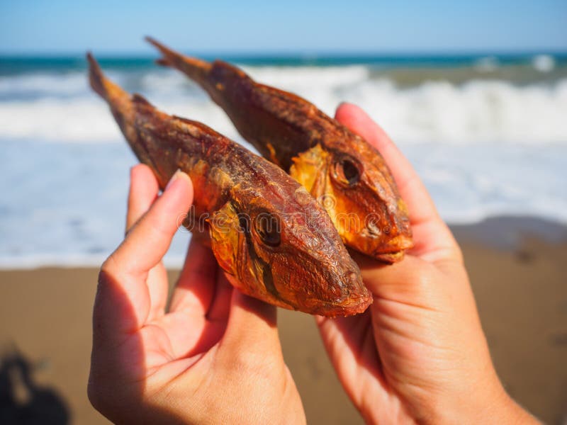 Dried fish stock photo. Image of right, paradise, milkfish - 138530168