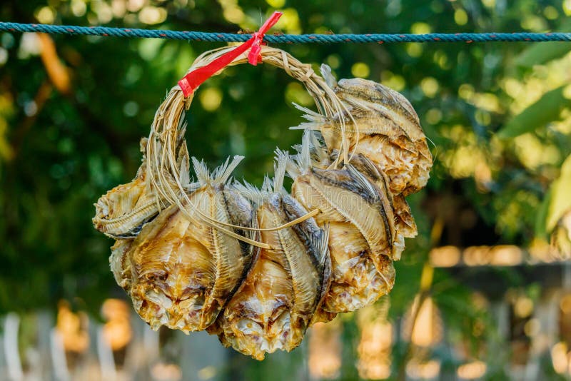Dried fish stock photo. Image of life, fishing, fish - 85283358