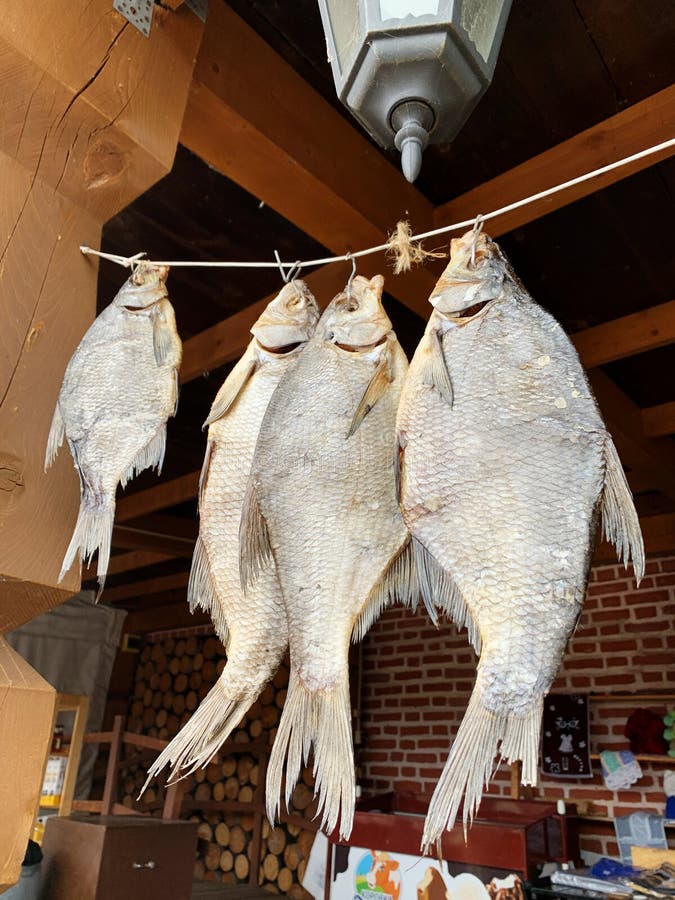 Dried Fish Drying on a Rope on a Rope on Hooks Stock Image - Image of ...