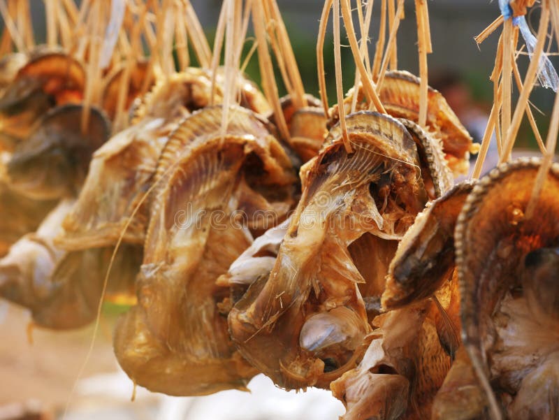 Dried Fish Fillets are Placed in a Row To Spread Stock Photo - Image of ...