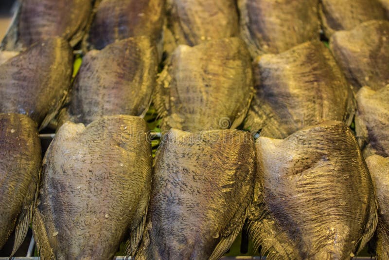 Dried Fish stock photo. Image of market, healthy, flat - 44652504
