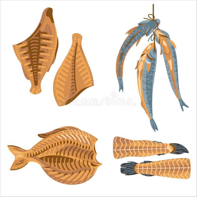 Dried fish flesh and parts stock vector. Illustration of delicious ...