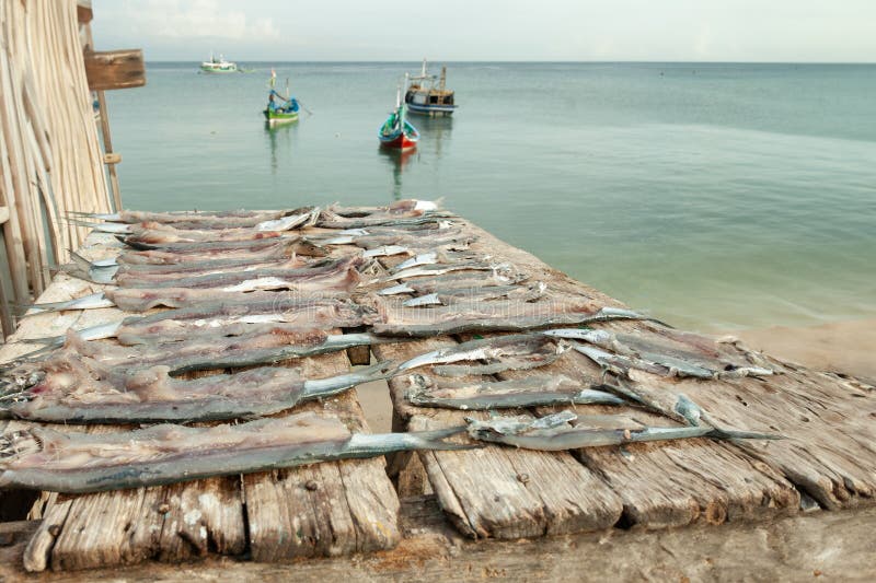 Dried Fish in the Front of the Sea Stock Image - Image of fish, daytime ...
