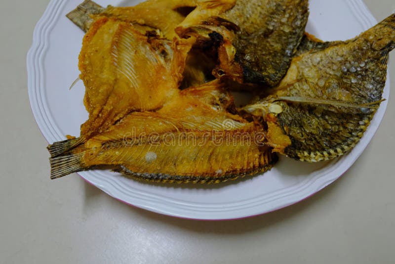 Dried fish stock image. Image of dried, fish, crispy - 179803689