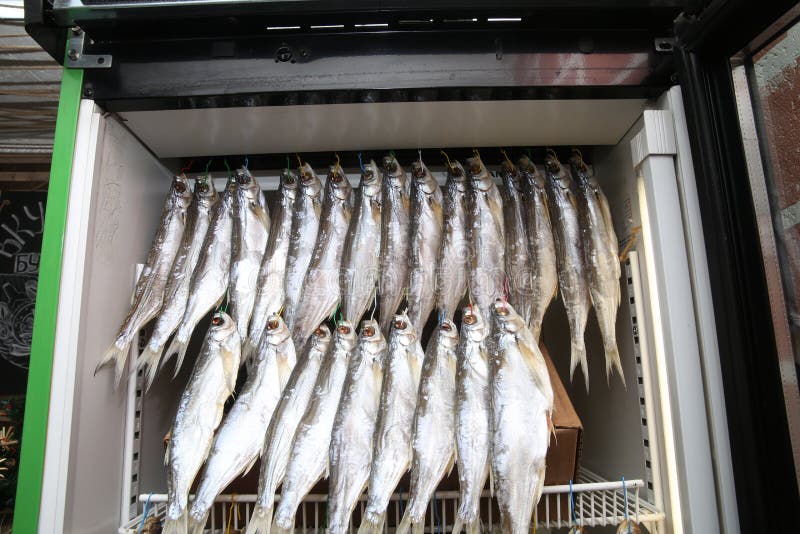 Dried Fish Hanging on Hooks Stock Photo - Image of mackerel, hanging ...
